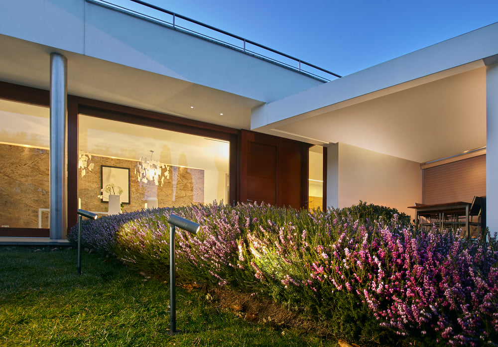 Flower, micro projector for the outdoor